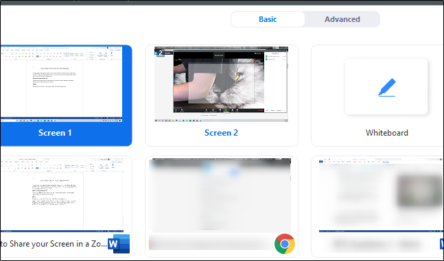 How to Share Your Screen in a Zoom Meeting