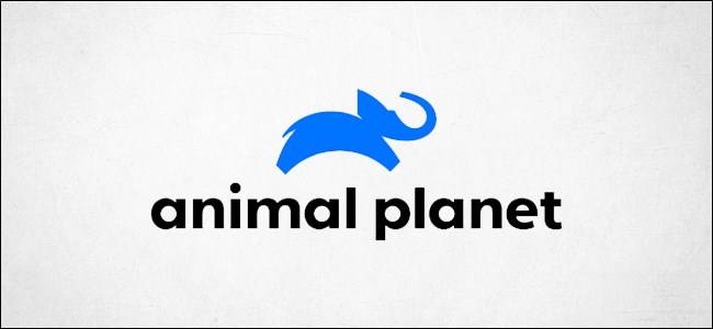 Where to Stream Animal Planet After You’ve Cut the Cord