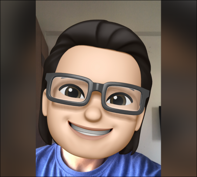 How to Use Memoji During a FaceTime Call on iPhone and iPad
