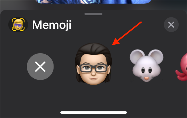 How to Use Memoji During a FaceTime Call on iPhone and iPad