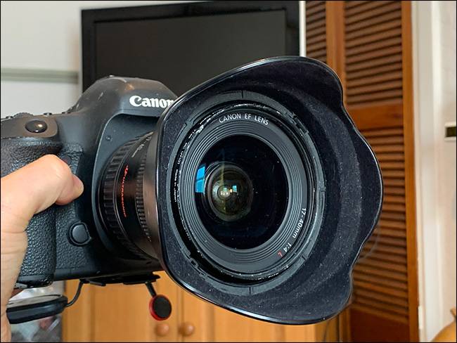 What Does a Lens Hood Do, and When Should You Use One?