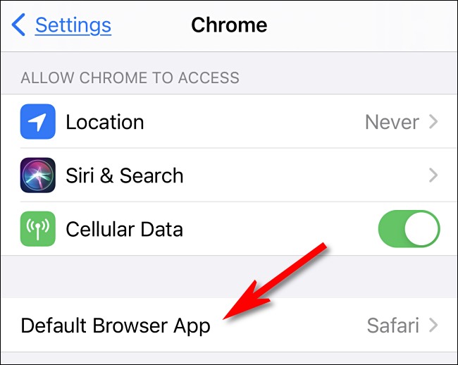 browser settings iphone 13
