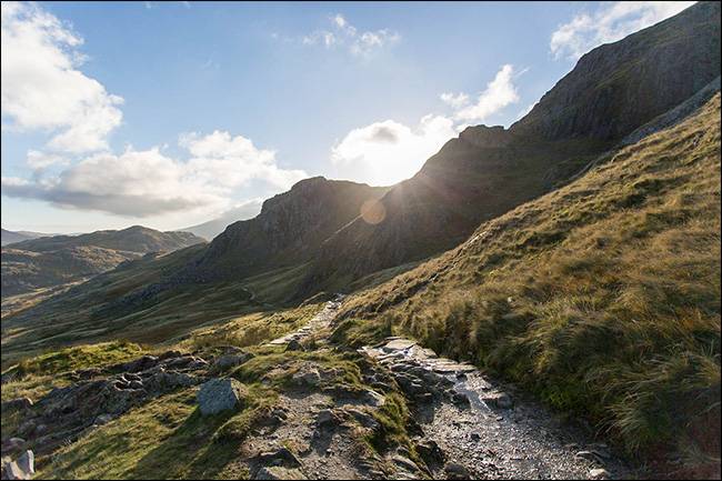 What Is Lens Flare, and Why Does It Make Photos Look Weird?