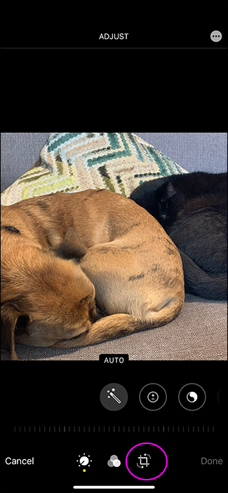 How to Take Square Photos on an iPhone