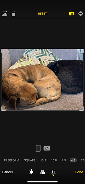 How to Take Square Photos on an iPhone
