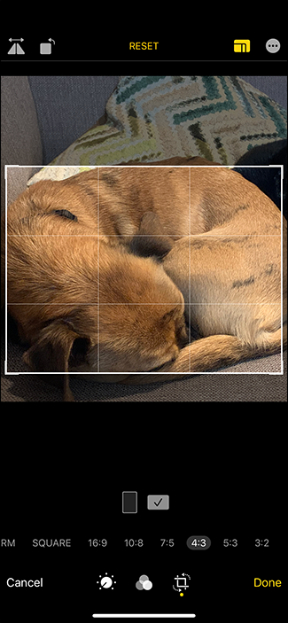 How to Take Square Photos on an iPhone