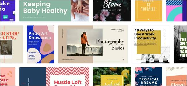 How to Use Canva to Design Like a Professional