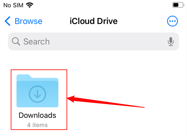 How to Find Downloaded Files on an iPhone or iPad