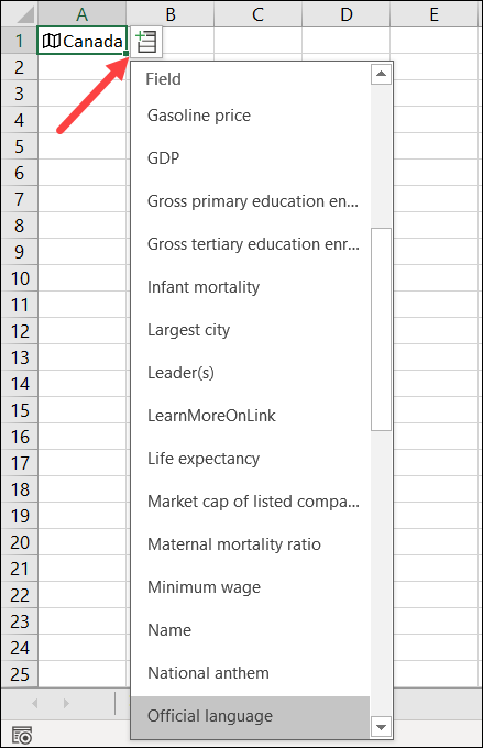 How to Use the Built-In Geography Feature in Microsoft Excel