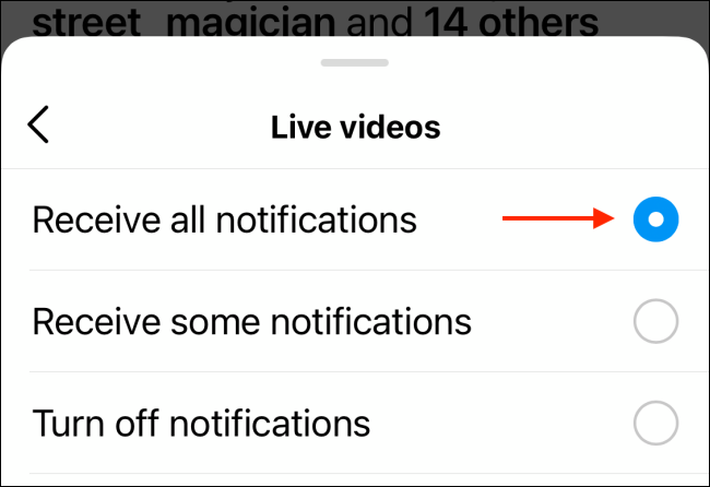 How to Turn on Notifications for Instagram Posts, Stories, Live, and IGTV