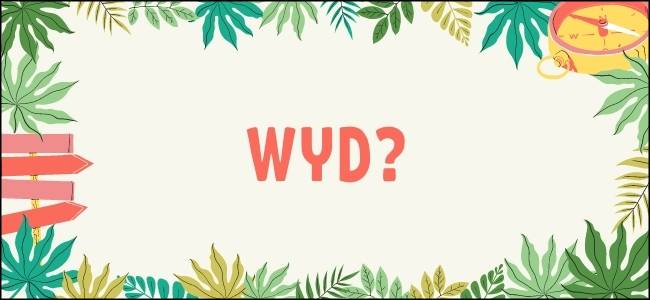 What Do "WYD" and "HYD" Mean, and How Do You Use Them?