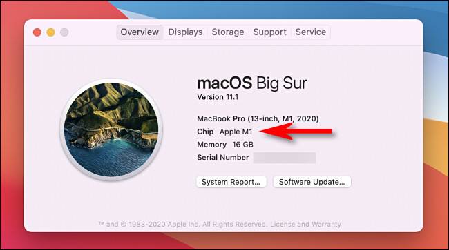 How to Check Which Graphics Card (GPU) Your Mac Has