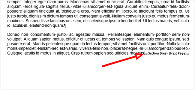 How to Insert a Section Break in Microsoft Word