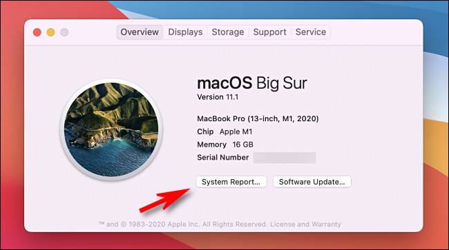 How to See Which Model and Year of Mac You Have