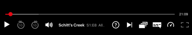 How to Change the Video Playback Speed on Netflix