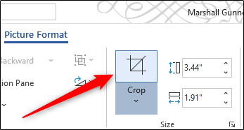 How to Crop a Picture in Microsoft Word