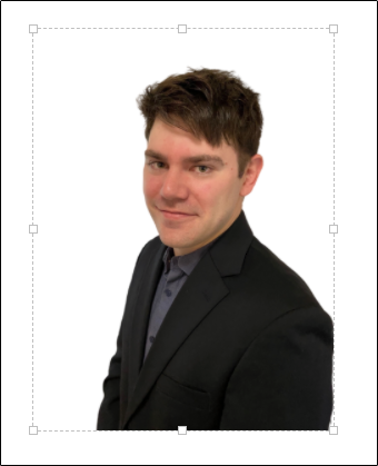 How to Crop a Picture in Microsoft OneNote