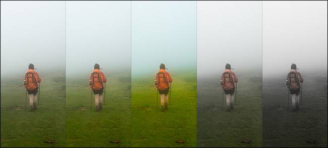 The Difference Between Saturation and Vibrance in Photoshop Lightroom