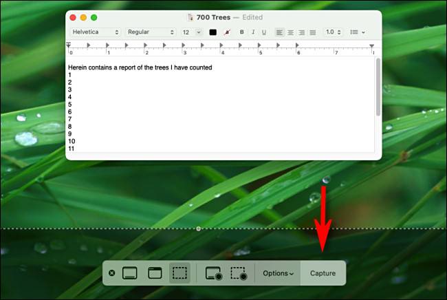 How to Screenshot on a Mac