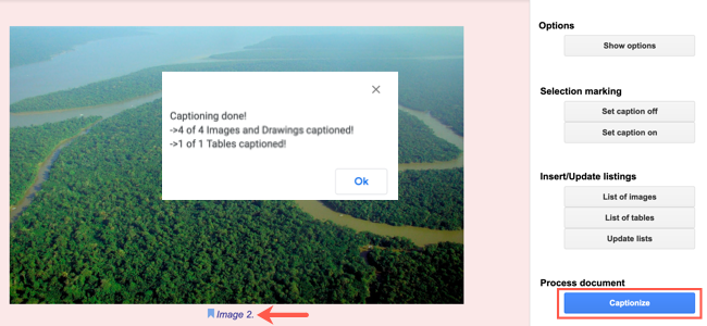How to Add Captions to Images in Google Docs