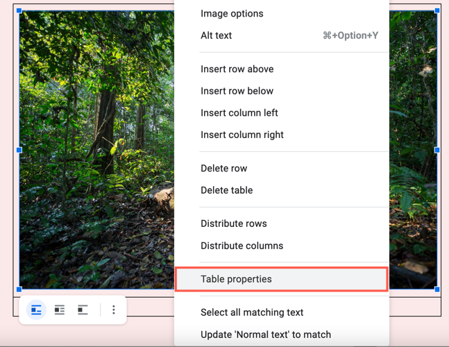 How to Add Captions to Images in Google Docs