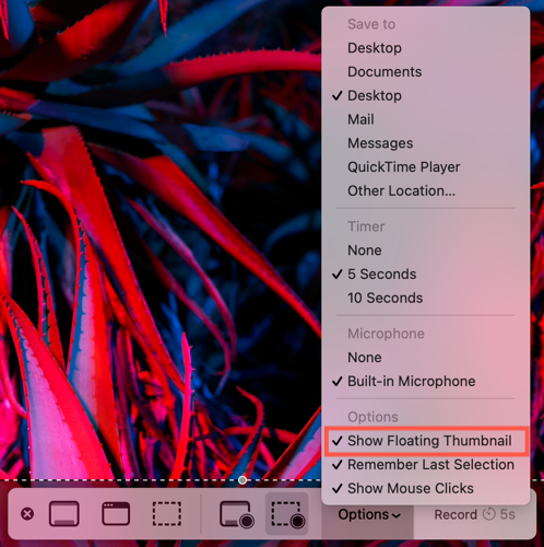 How to Screen Record on Your Mac