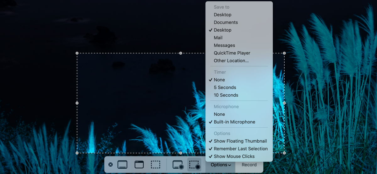 How to Screen Record on Your Mac