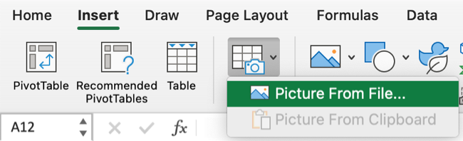 How to Insert Data from a Picture in Microsoft Excel for Mac