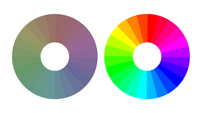 What You Need to Know About Color Theory for Great Photos
