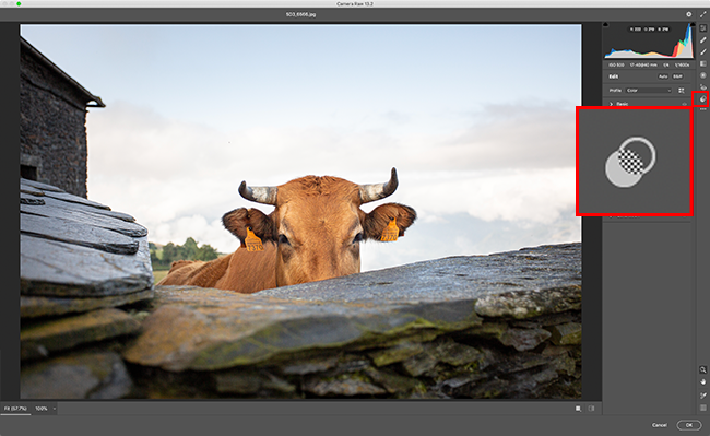 How to Add Lightroom Presets to Photoshop