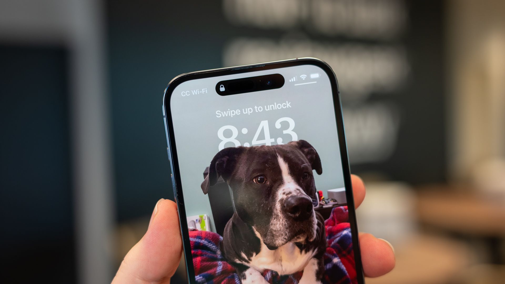5 Reasons You Should Print Your Smartphone Photos