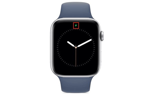 What Do the Status Icons Mean on Apple Watch?