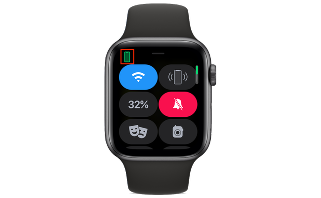 What Do the Status Icons Mean on Apple Watch?