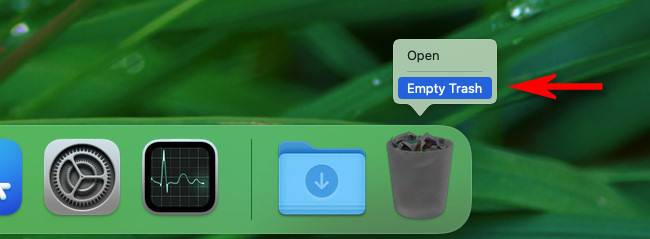 remove trash icon from dock