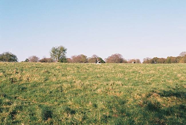 What Is a Vignette in Photography?