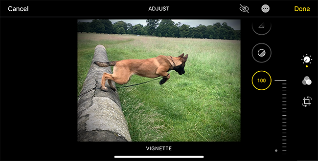 What Is a Vignette in Photography?