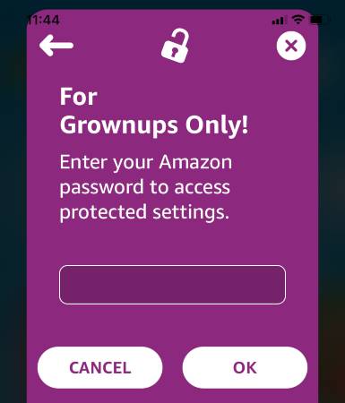 How to Set Up Amazon Kids+