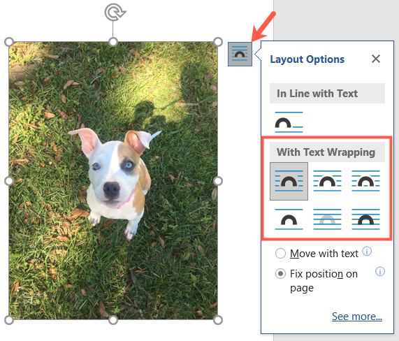 How to Overlay Images in Microsoft Word