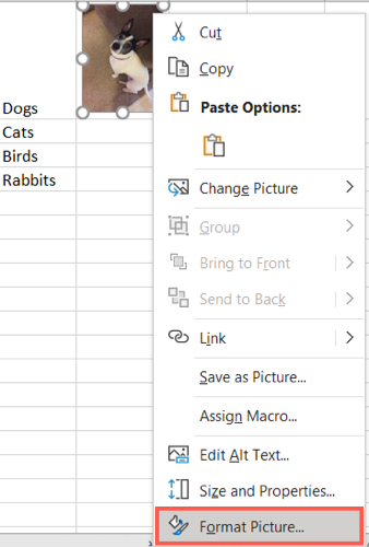 How to Insert a Picture in Microsoft Excel