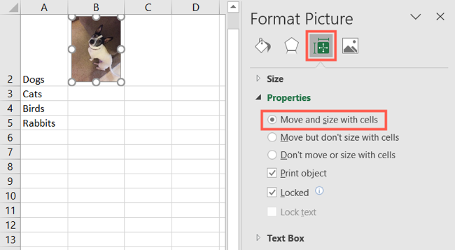 How to Insert a Picture in Microsoft Excel