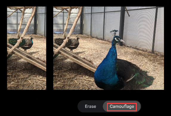 How to Use Google's Magic Eraser on Android and iPhone
