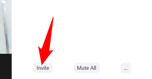 How to Send a Zoom Invite