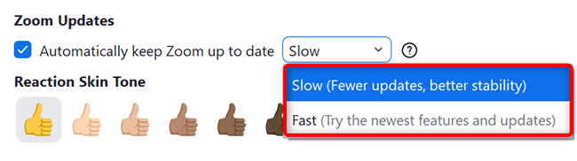How to Update Zoom