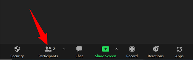 How to Change Your Name on Zoom