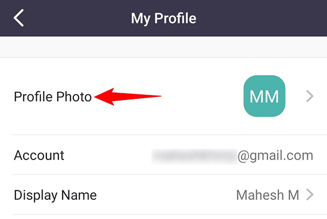 How to Put a Picture on Zoom