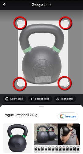 How to Use Google Image Search on iPhone or iPad