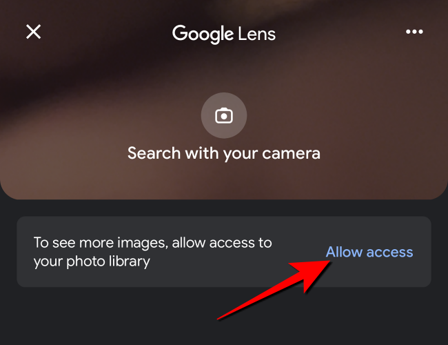 How to Use Google Image Search on iPhone or iPad