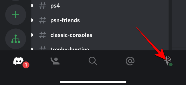 offline icon discord