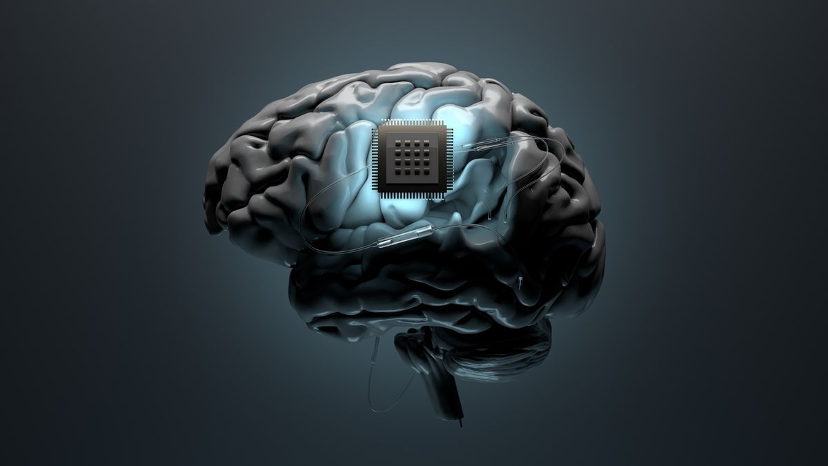 Wetware Is Here: Running Software on Squishy Brains
