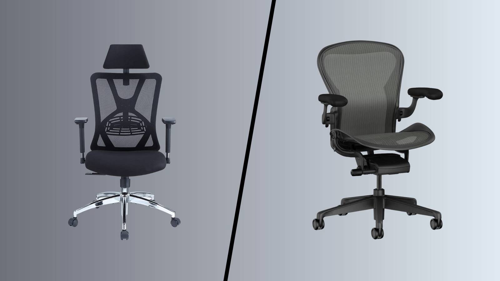 The 5 Best Ergonomic Office Chairs